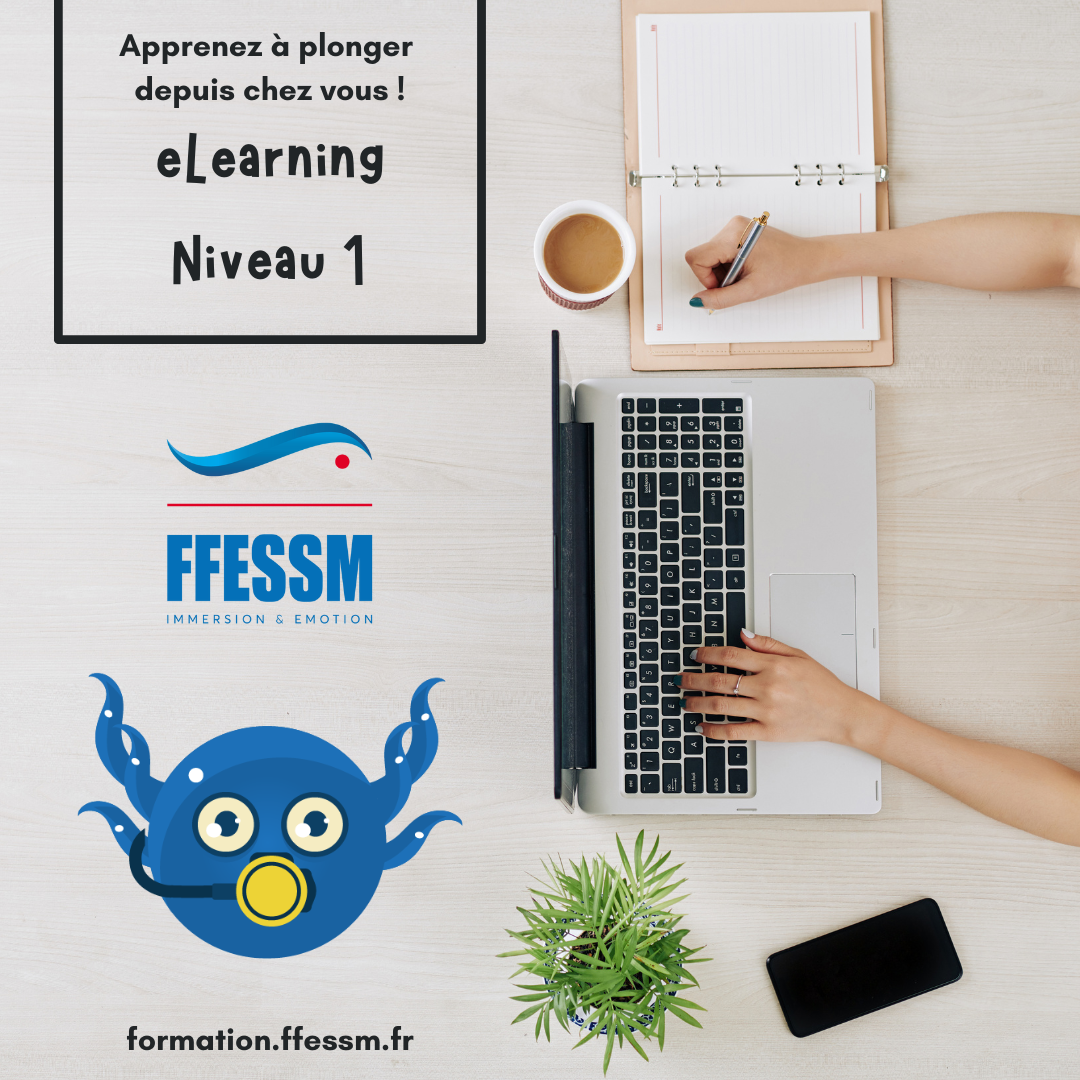 E-learning : apprenez à plonger depuis chez vous ! | FFESSM